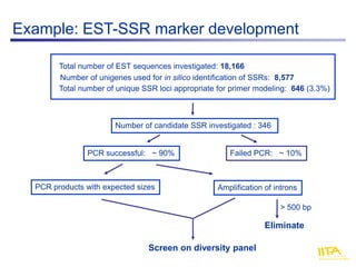 Biotechnology,Research-for-Development at IITA | PPT