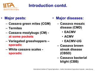 Progress in developing cassava varieties with resistance to CMD and ...