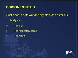 SAFE HANDLING OF PESTICIDES | PDF