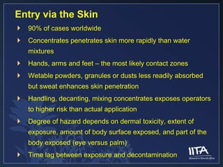 SAFE HANDLING OF PESTICIDES | PDF