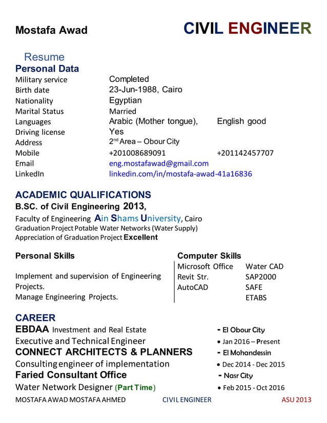 CV- Mostafa Awad 2013 | PDF
