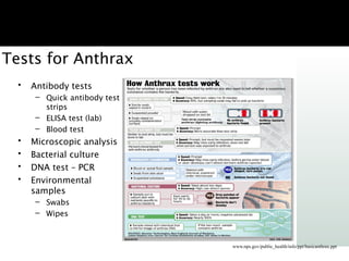 75115808-Antrax.pdf