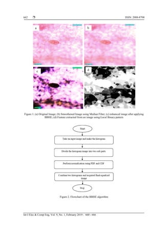 Automatic detection of rust disease of Lentil by machine learning ...