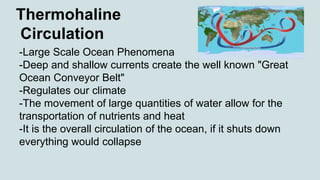 Oceans Currents | PPT