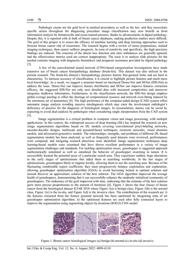 Breast Cancer Histological Images Nuclei Segmentation And Optimized Classification With Deep