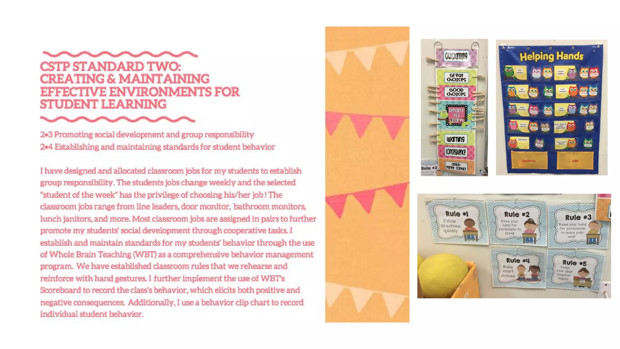 CSTP Standards | PDF