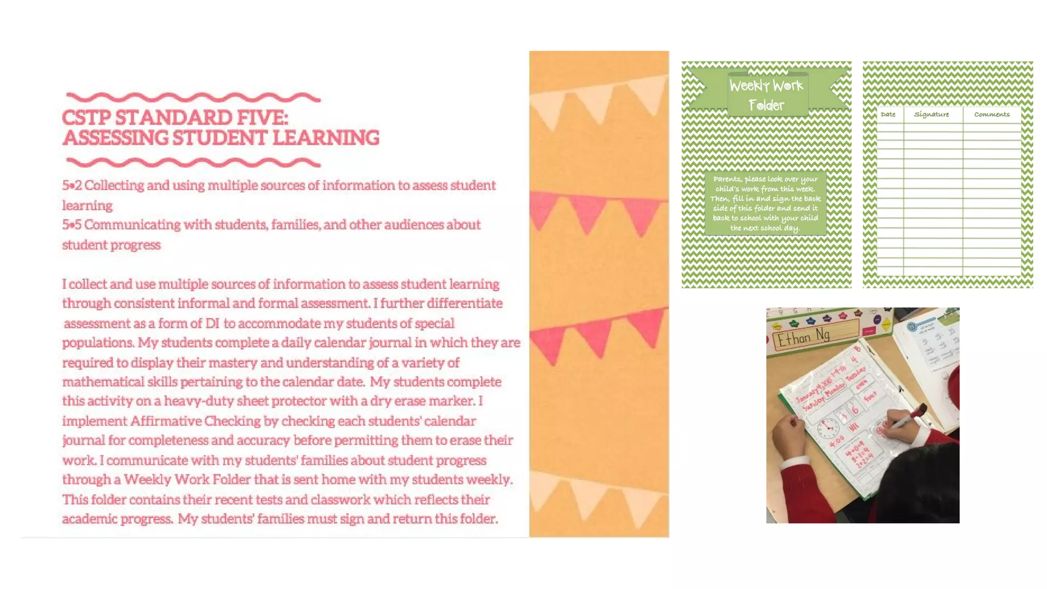 CSTP Standards | PDF