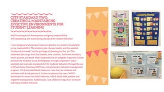 CSTP Standards | PDF