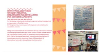 CSTP Standards | PDF