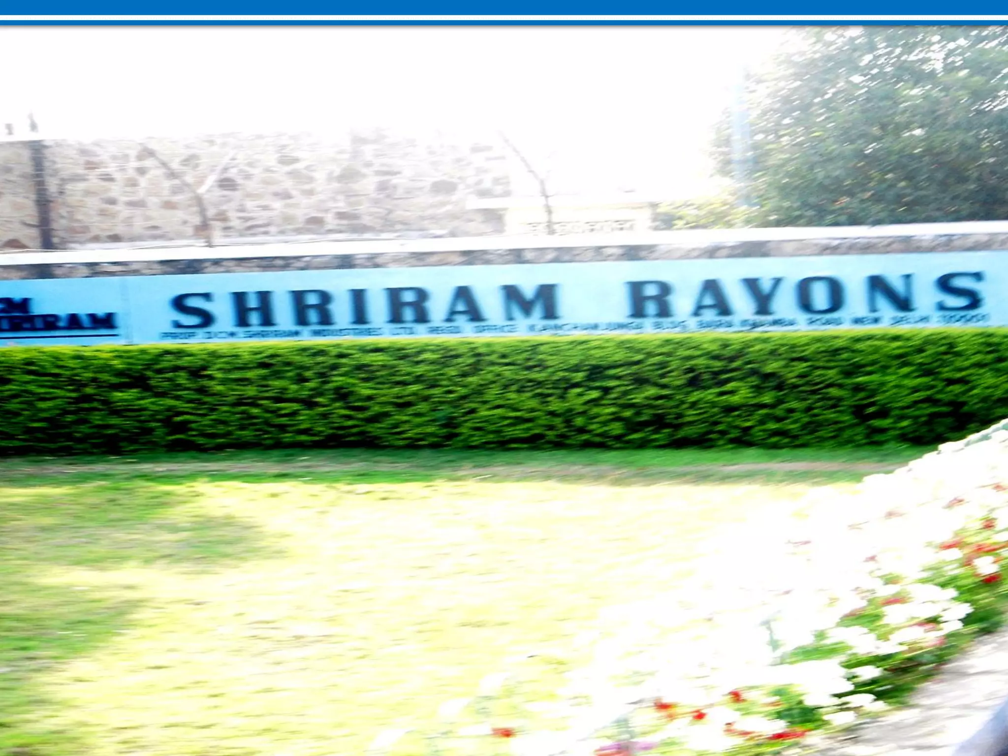 75422530-Final-Ppt-on-Shri-Ram-Rayons.pdf