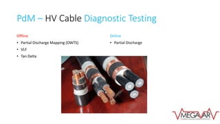 Asset Management Presentation | PPTX