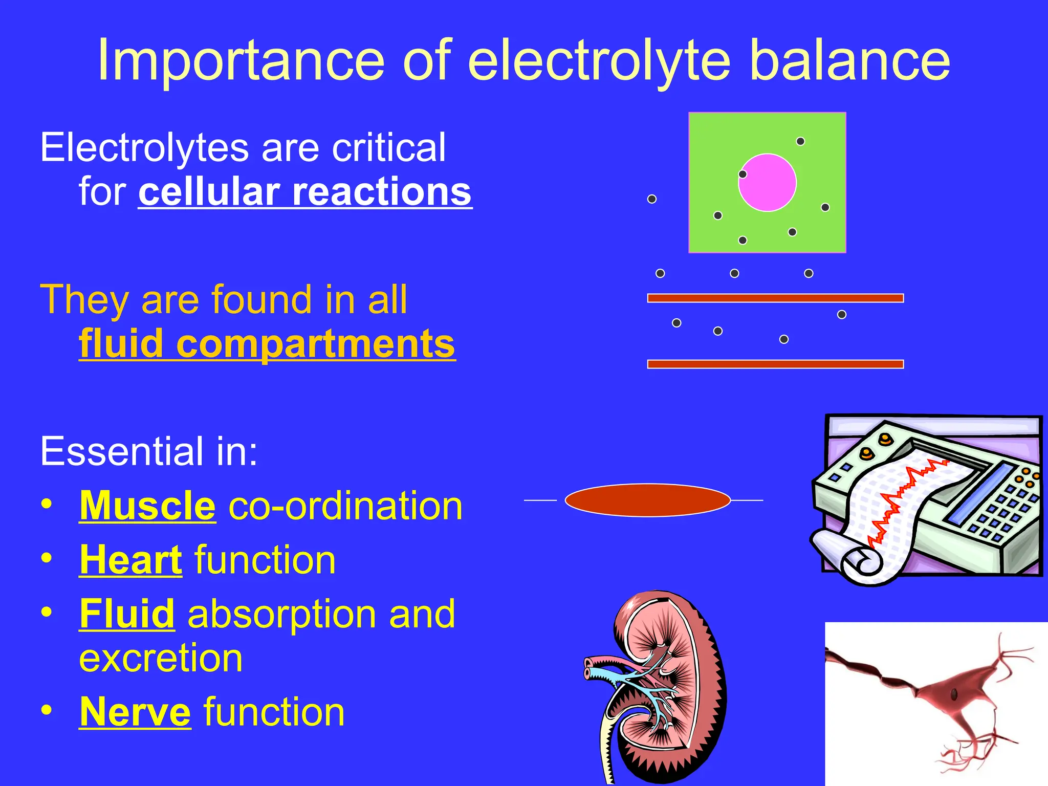 Electrolytes and its associated disorders in the clinical setting | PPT
