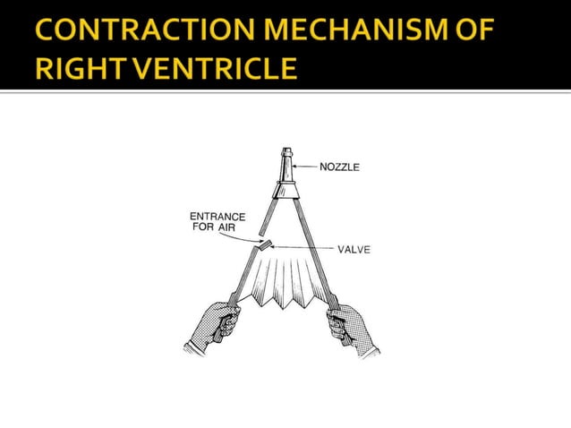 75574537-Assessment-of-Right-Ventricular-Function.ppt