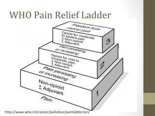 Opioid Presentation | PPT