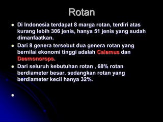 75676_4. Rotan.ppt