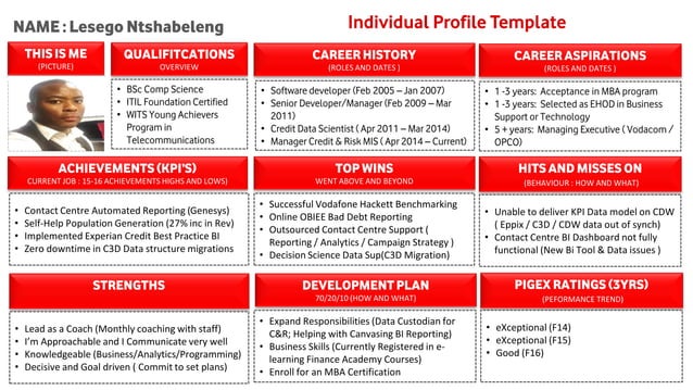 Individual Talent Profile Template | PDF | Business | Business and Finance