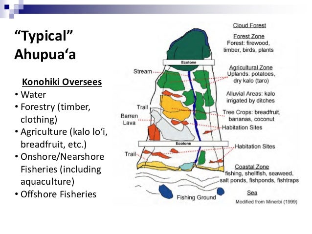Monitoring in the Ahupuaa-s