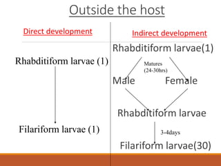 757_Strongyloides diseminada yes tes.ppt