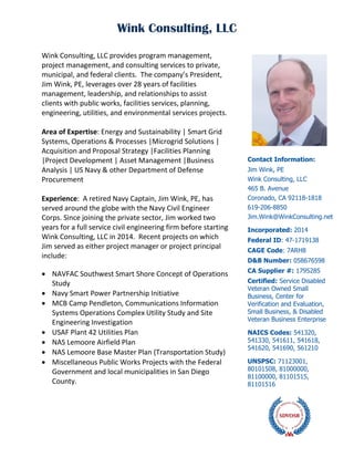 Wink Consulting Capabilities Statement | PDF