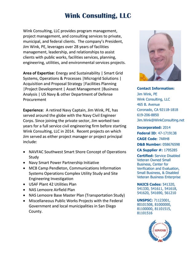 Wink Consulting Capabilities Statement | PDF