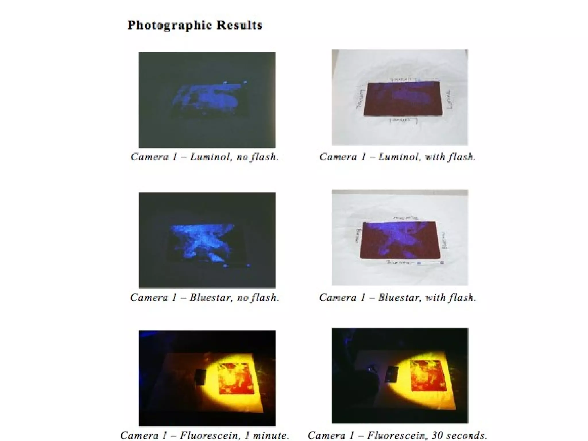 Presumptive Tests For Blood | PPT