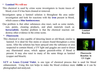 Presumptive Tests For Blood | PPT