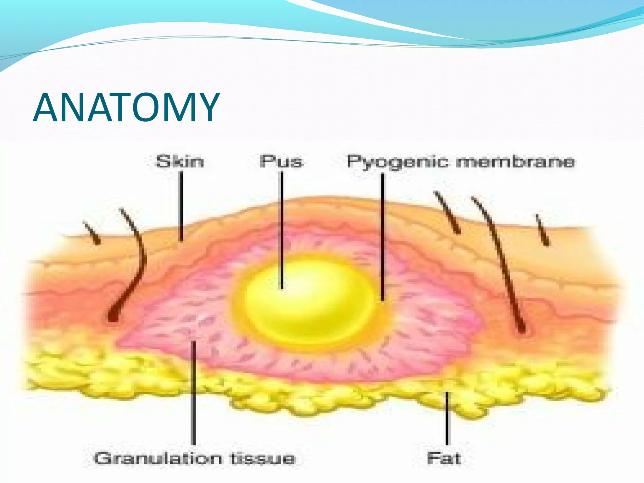 Bedside Procedures | PPT