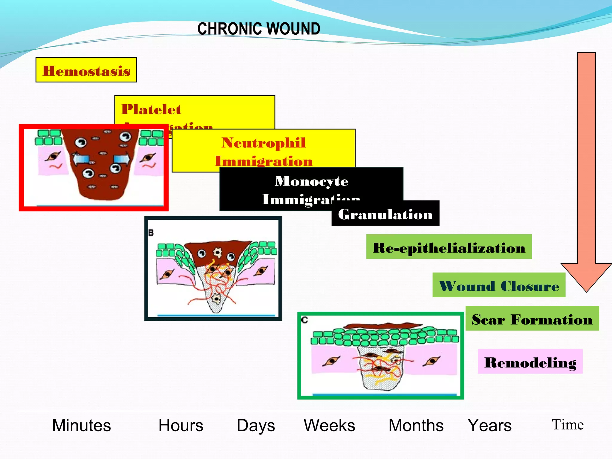 Bedside Procedures | PPT