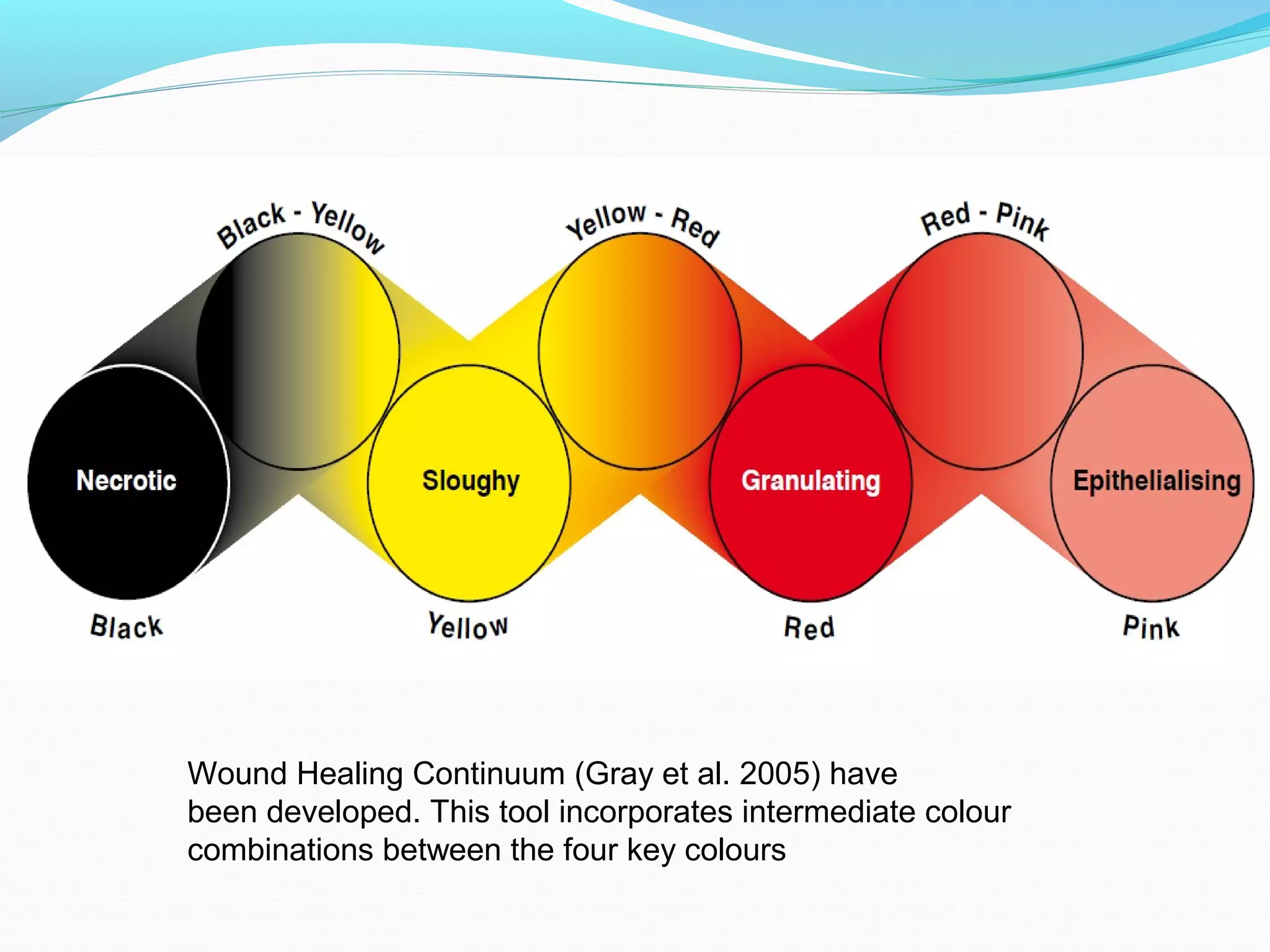 Bedside Procedures | PPT