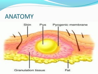 Bedside Procedures | PPT