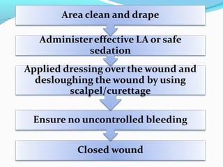 Bedside Procedures | PPT