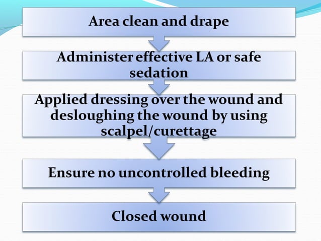 Bedside Procedures | PPT