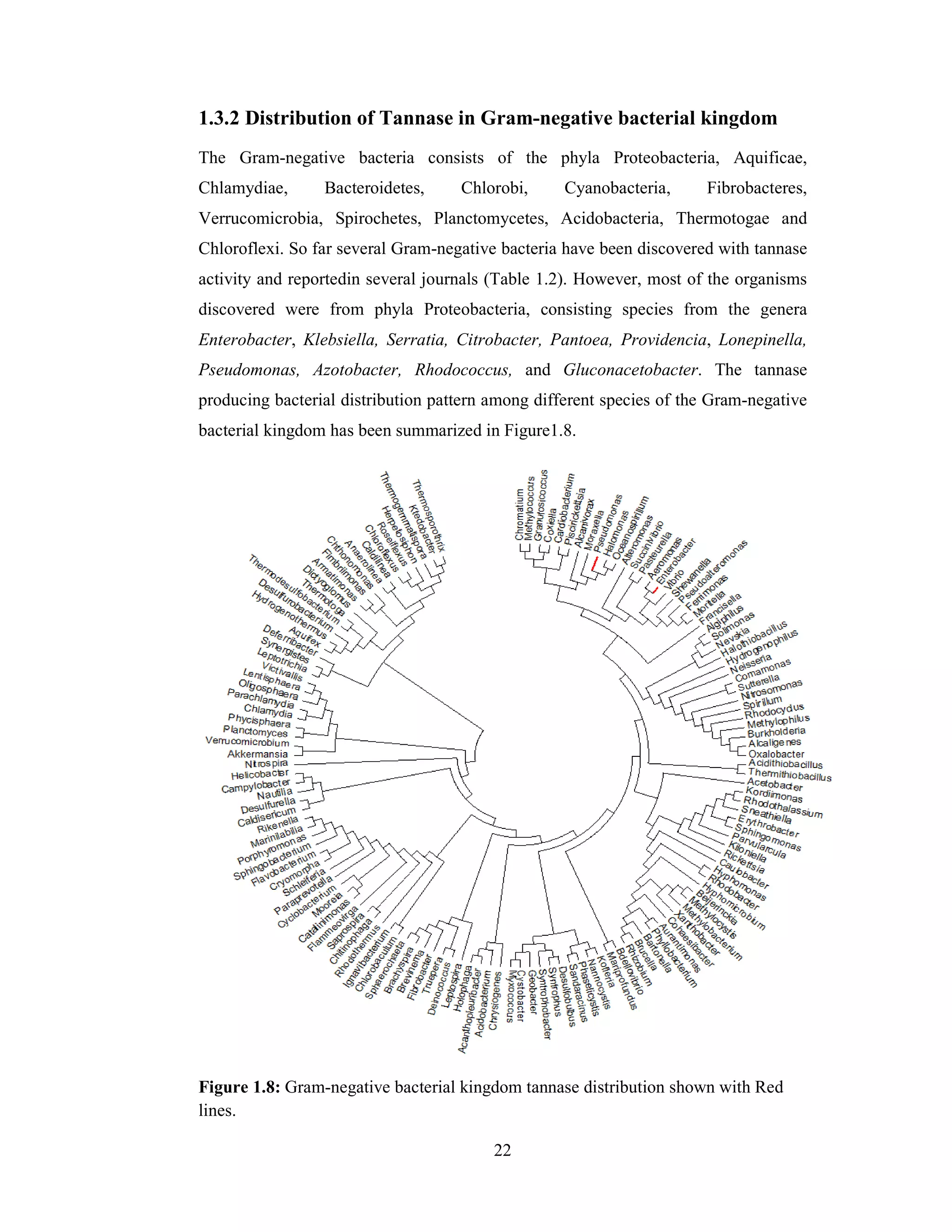 Isolation and Identification of Tannase producing bacteria from ...