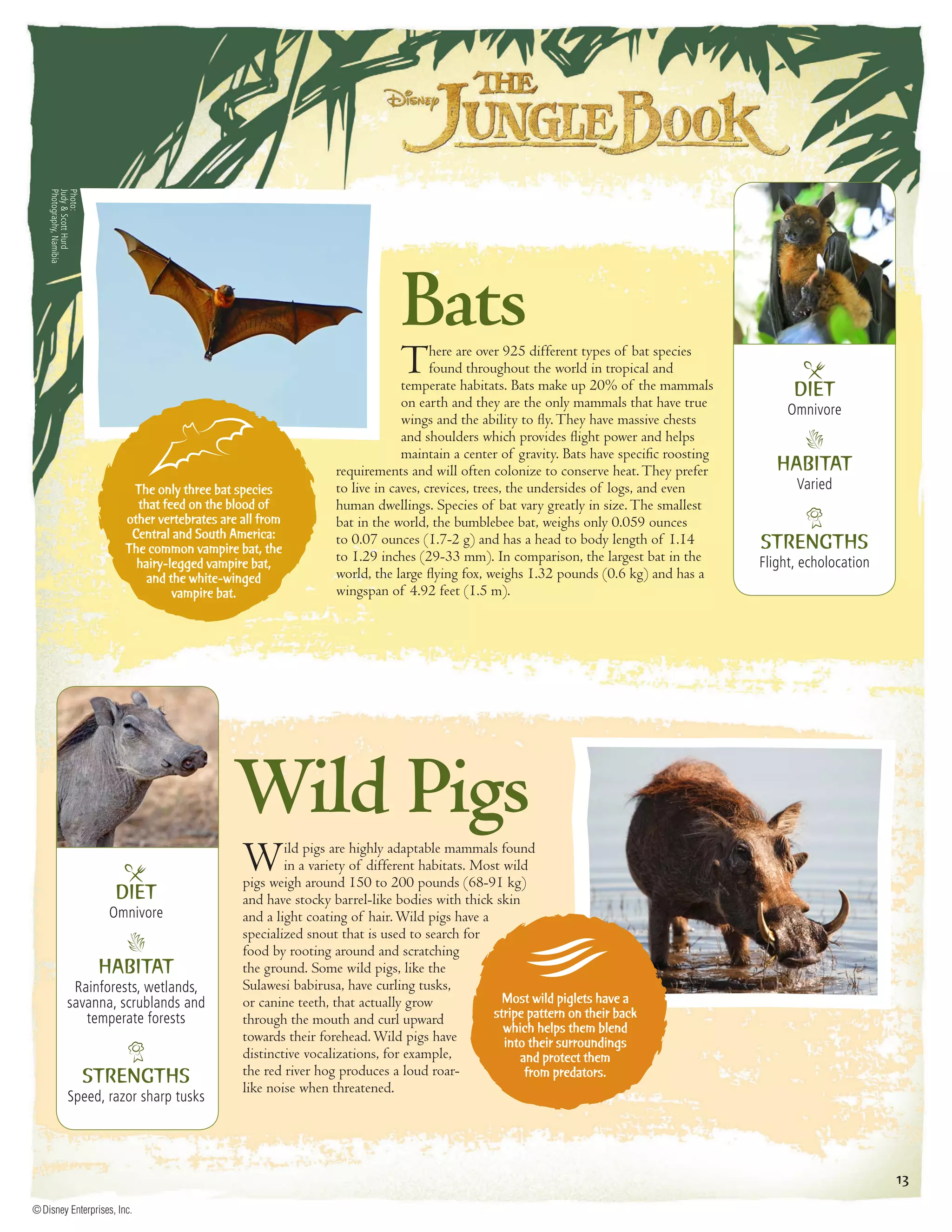 The Jungle Book Ed Guide | PDF