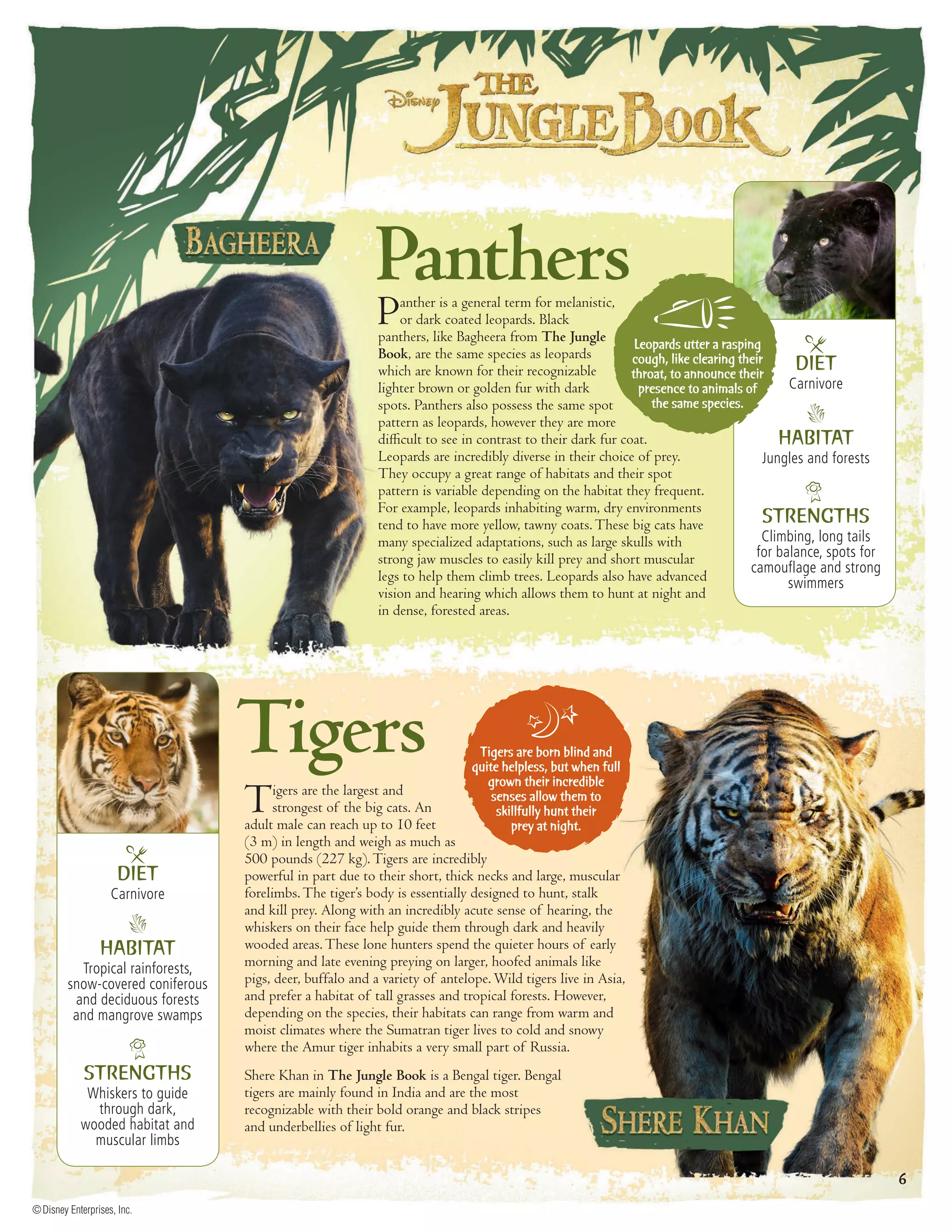 The Jungle Book Ed Guide | PDF