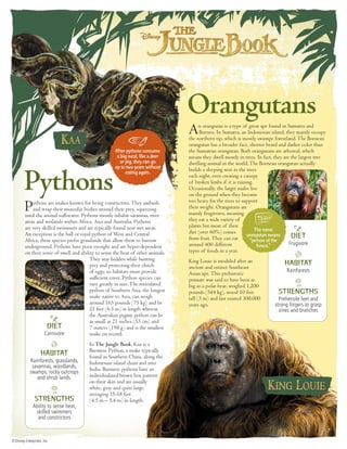 The Jungle Book Ed Guide | PDF