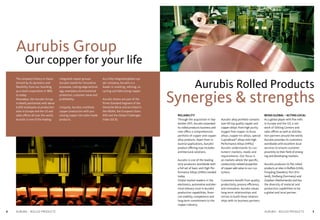 Aurubis_RP_IB_EN_12_09_DS | PDF
