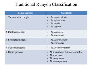Mycobacterium tuberculosis | PPTX