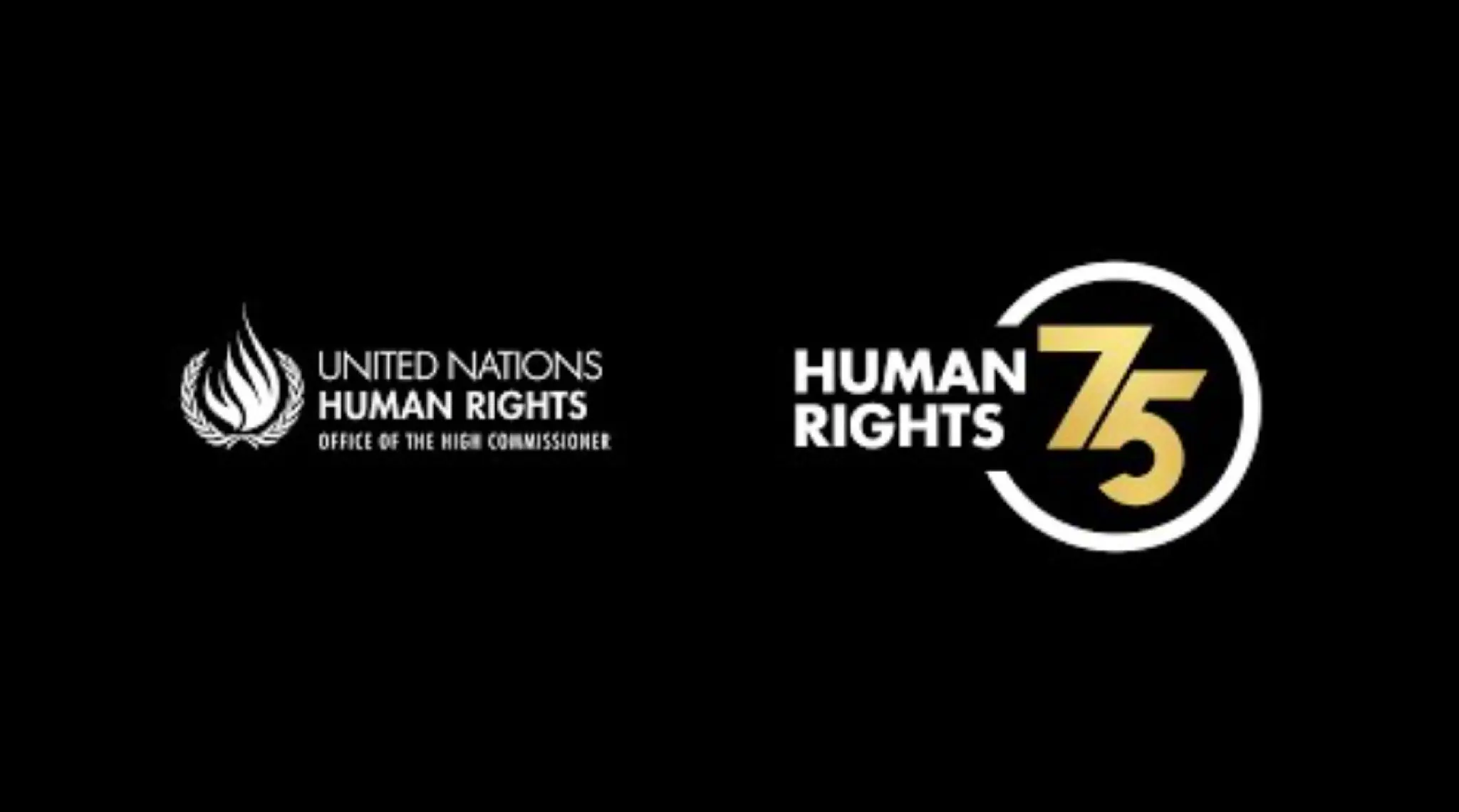 Celebration of the 75th anniversary of the UDHR. | PDF