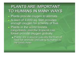 76. biodiversity and importance of plants to humans , A Presentation By ...