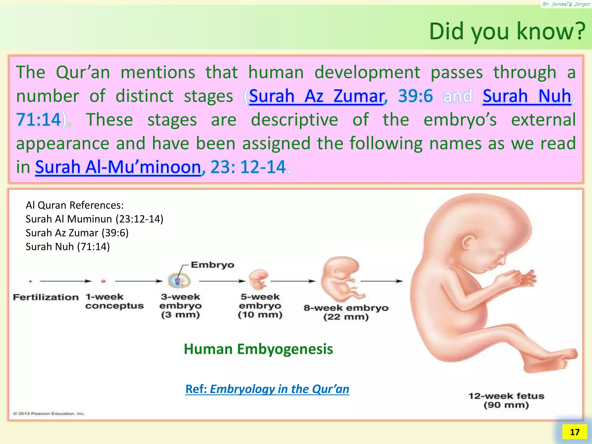 Al Quran (Chapter 76): Surah Al Insan [The Human/Man] | PPT