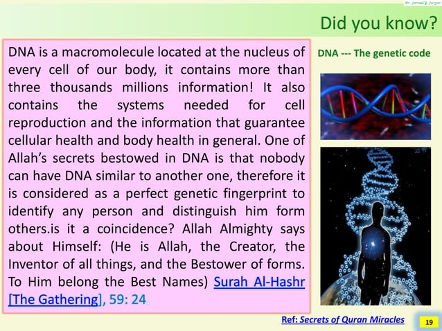 Al Quran (Chapter 76): Surah Al Insan [The Human/Man] | PPT