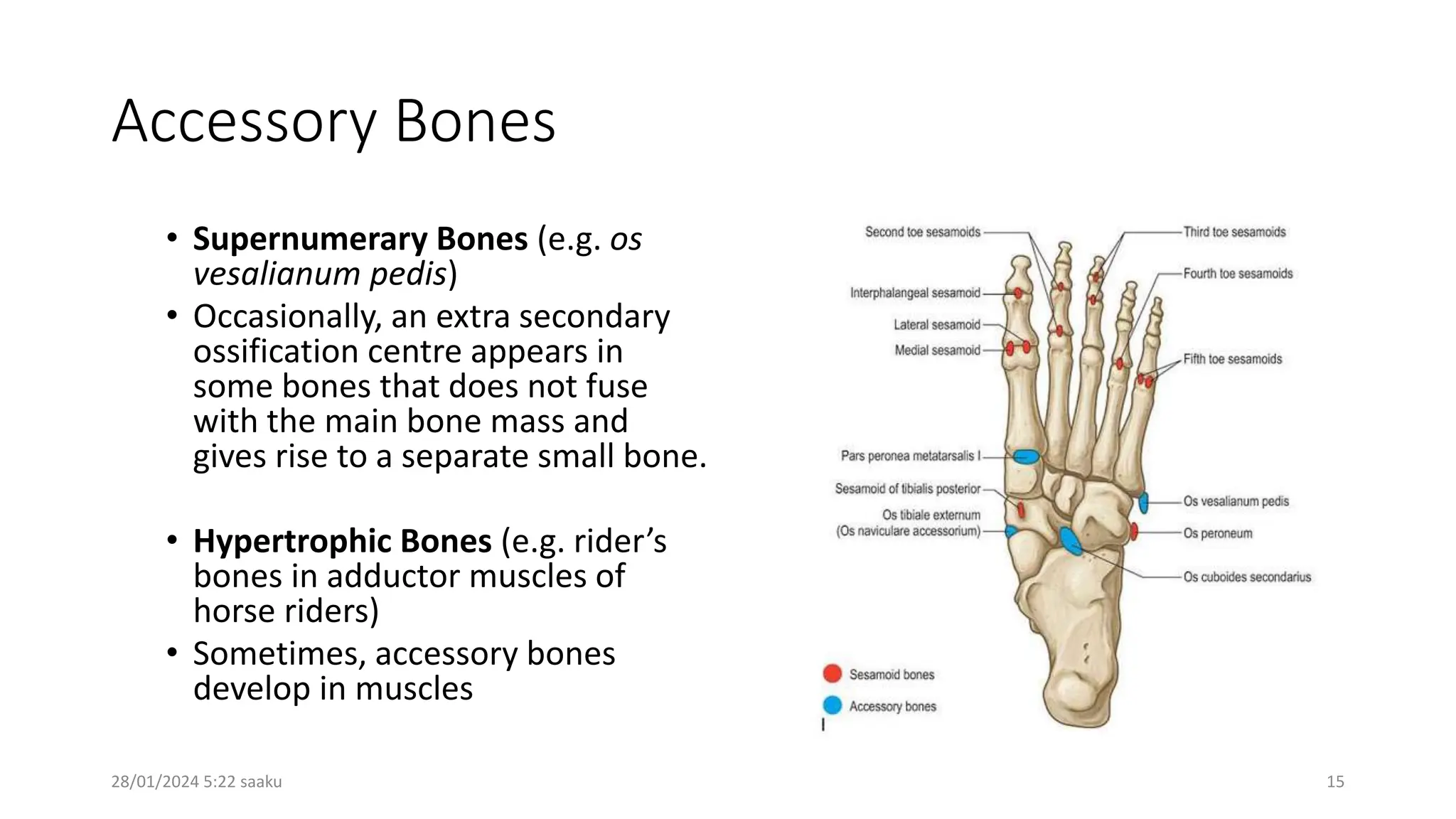 76. General Anatomy of Bone.pptx........ | PPTX