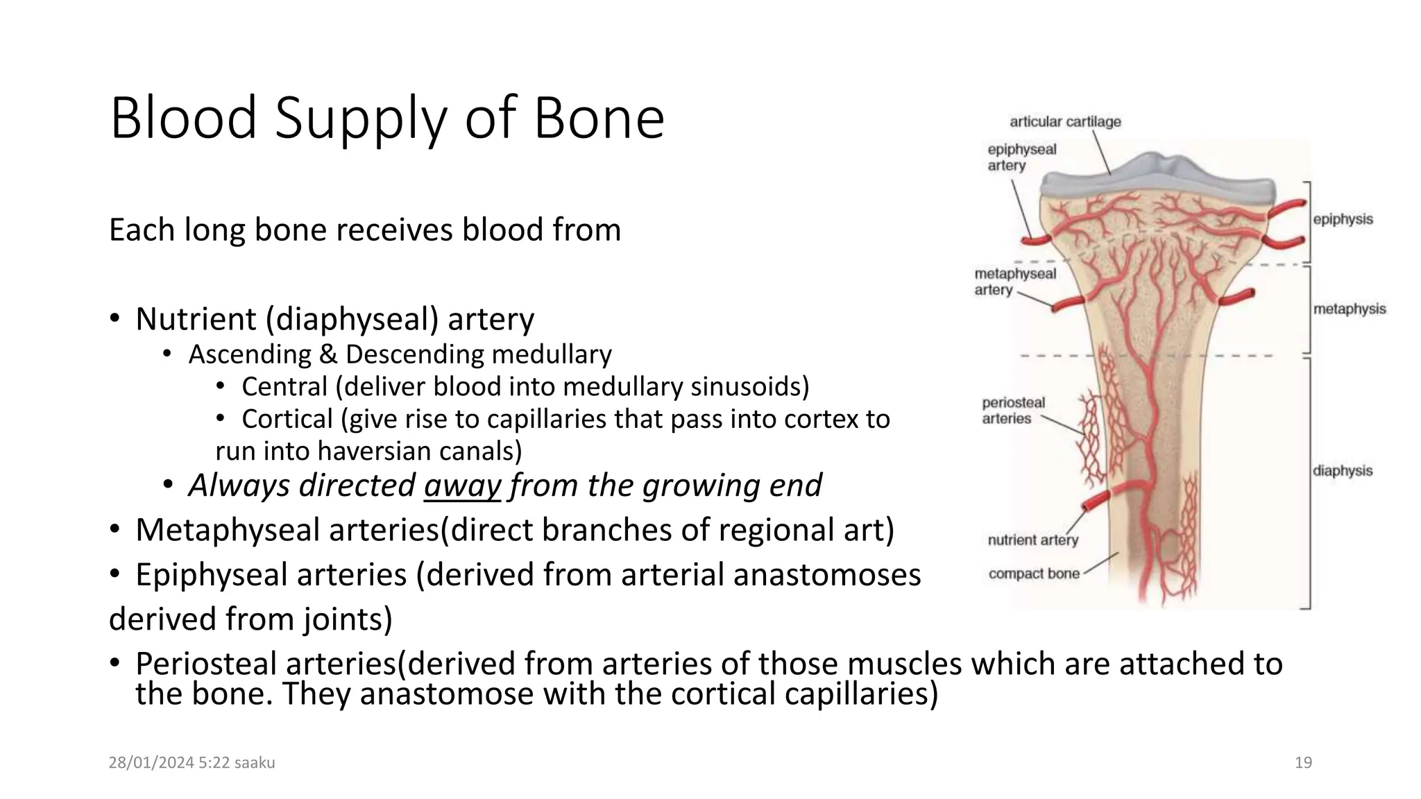 76. General Anatomy of Bone.pptx........ | PPTX