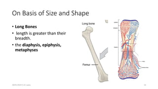 76. General Anatomy of Bone.pptx........ | PPT