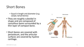 76. General Anatomy of Bone.pptx........ | PPT