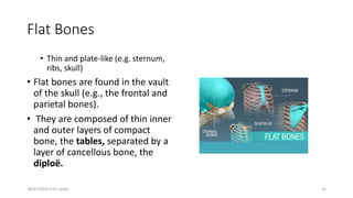76. General Anatomy of Bone.pptx........ | PPT