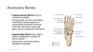 76. General Anatomy of Bone.pptx........ | PPT