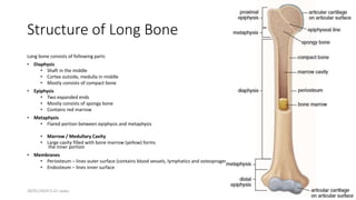 76. General Anatomy of Bone.pptx........ | PPT