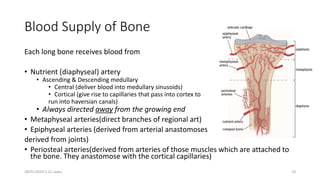 76. General Anatomy of Bone.pptx........ | PPT